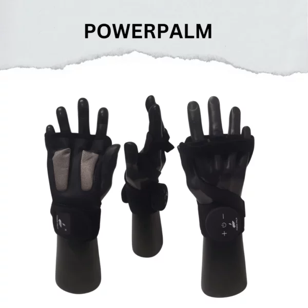 Power Palm - Chiro1Source